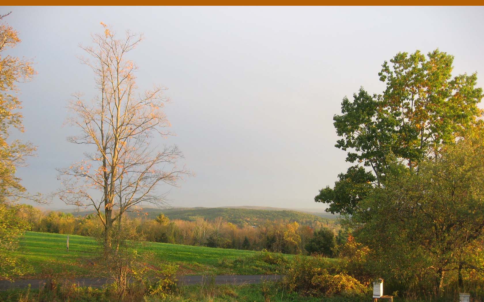 A Key to Continuity in your business - Curtis Insurance Agency, Inc.